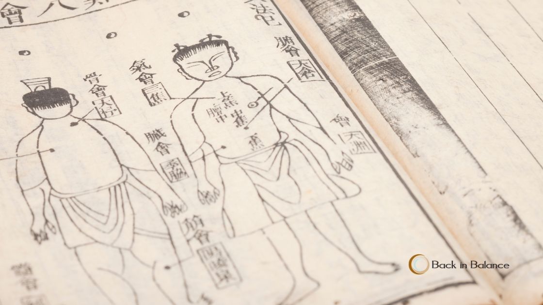 Traditional Chinese Medicine (TCM) | Back in Balance